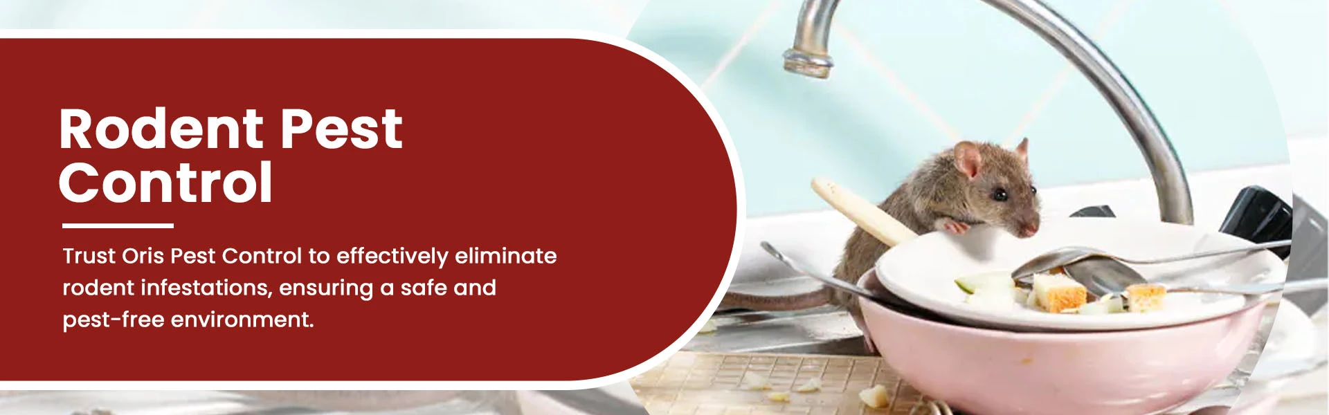 oris pest control rodent pest control banner